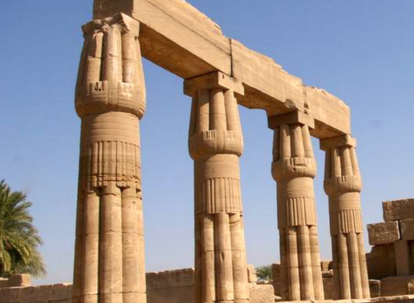 égyptophile: Le lotus, plus qu'une plante, un symbole