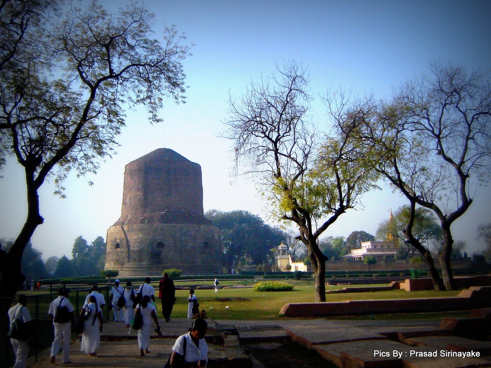 Pilgrimage to Dambadiva 2012: Dambadiva 2012