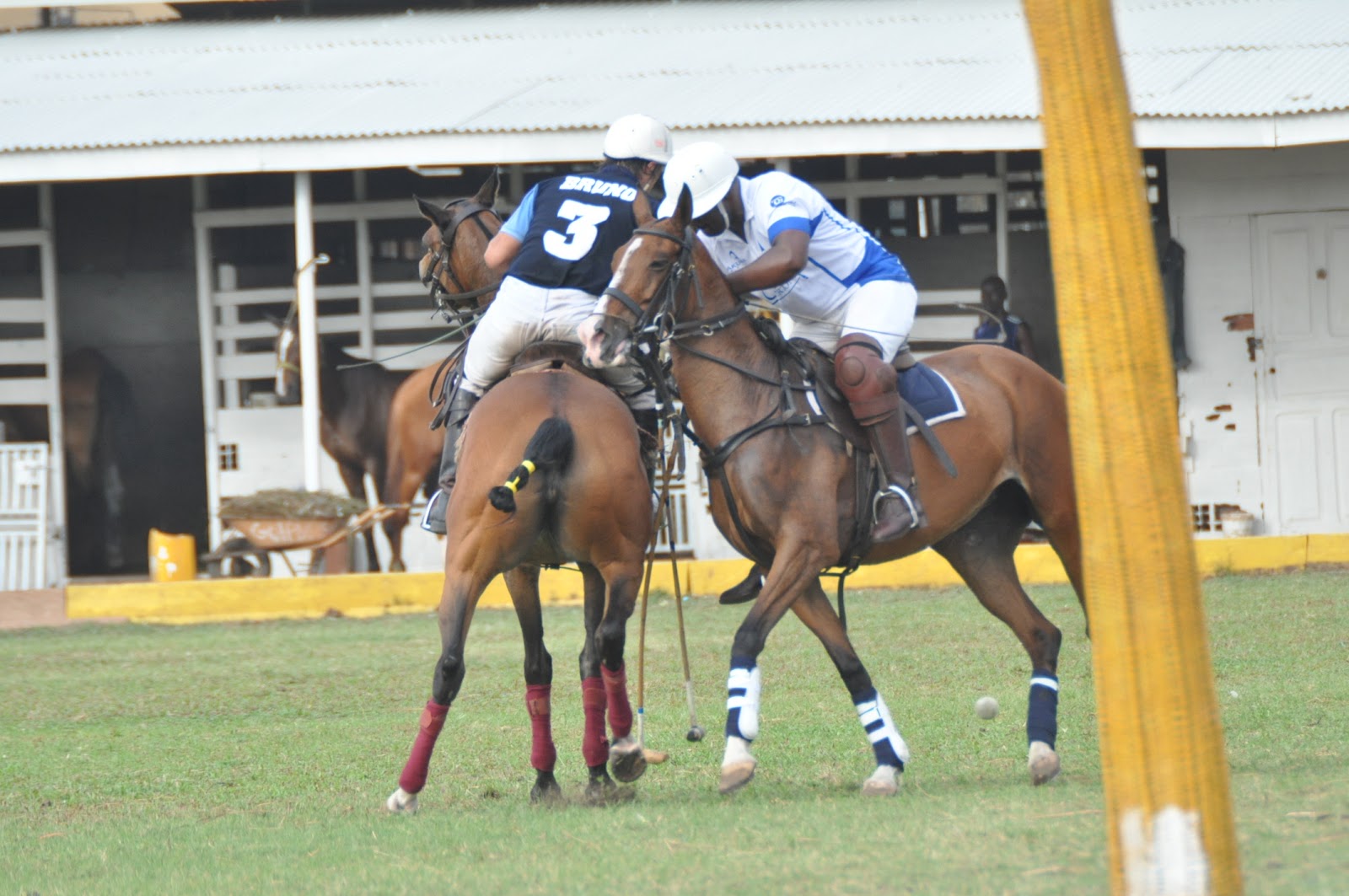 GLOBAL POLO: Gallery