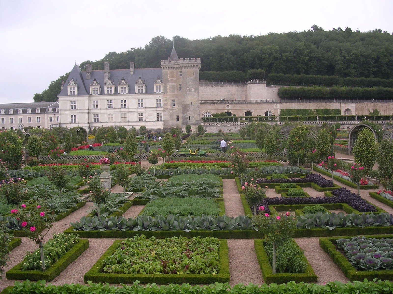 landscapes+gardens design: Chateau de Villandry