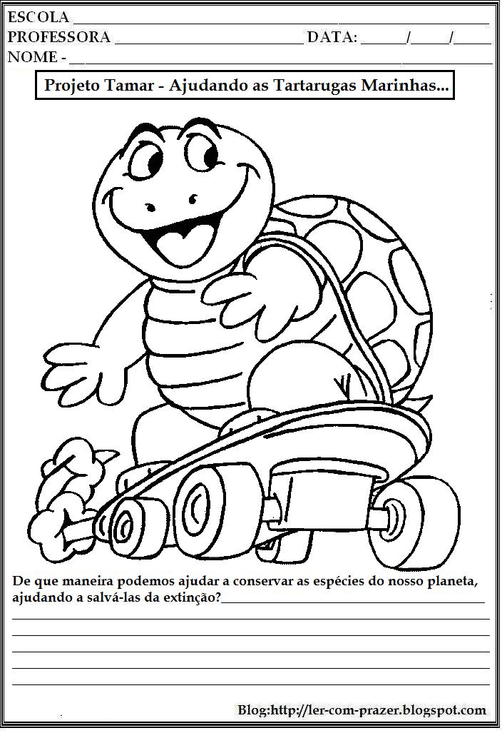 Ler com prazer: O Projeto Tamar - Tartarugas Marinhas - Trabalhos ...