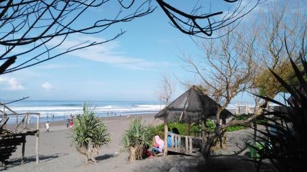 Cemara Sewu Jogja, Pantai 'Rasa' Hutan