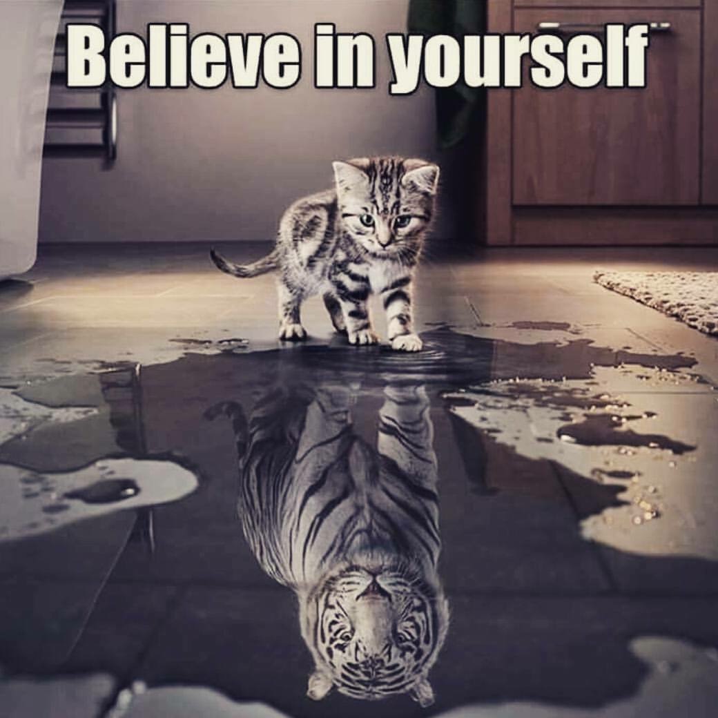Everyone Has Two Faces. ★: Believe in yourself - Inspiration - Tiger
