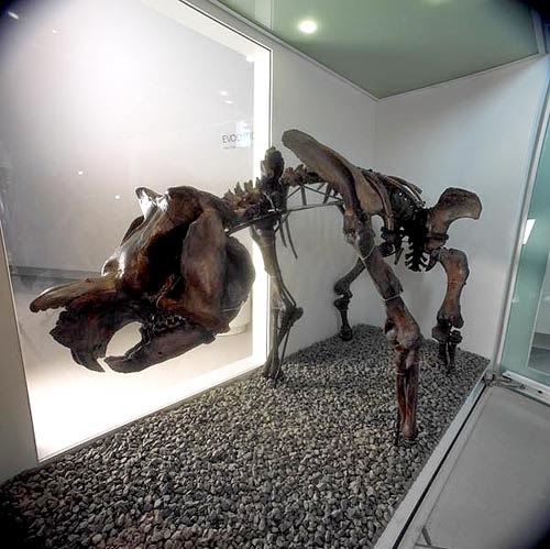 Variety of Life: June 2014