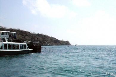 Turismo en Ecuador Isla Santa Clara