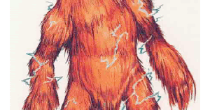 Roles, Rules, and Rolls: The Umpleby's Net