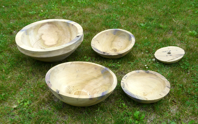 Timberturner + Bowlwood Woodturning: The Tulip Tree