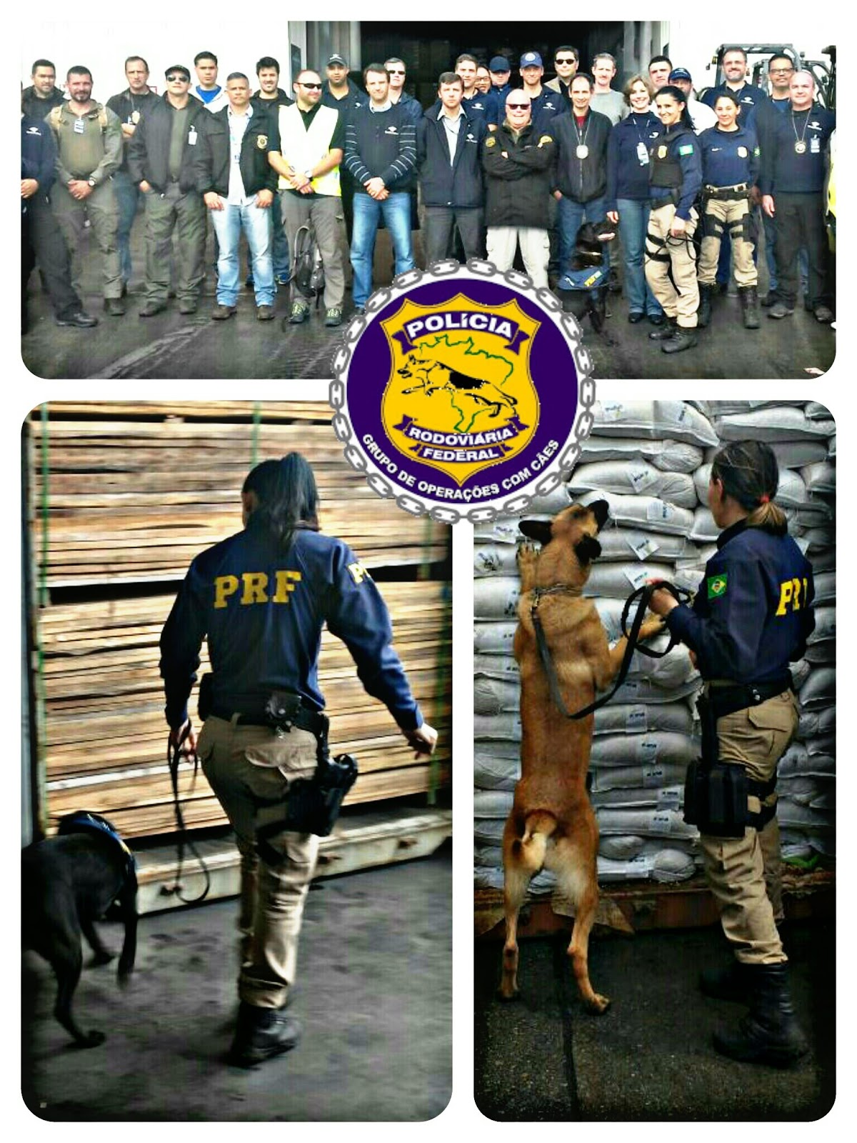 NÚCLEO DE OPERAÇÕES ESPECIAIS