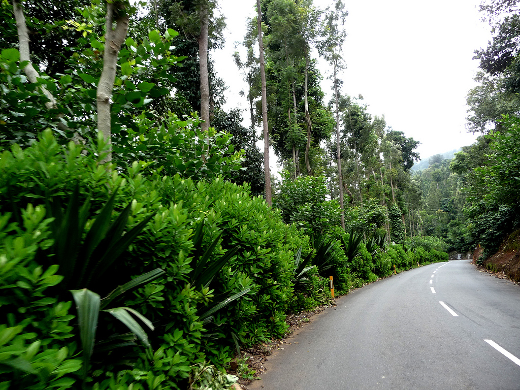 VaaLoo: Awesome Thimbam Ghat Hills Road-Tamil Nadu