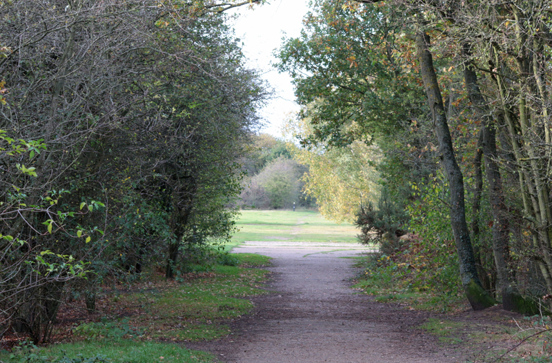 Dartford Heath, Kent - 24/10/17