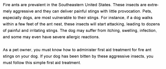 How to Treat Fire Ant Bites in Your Dog ? - Ant Bites