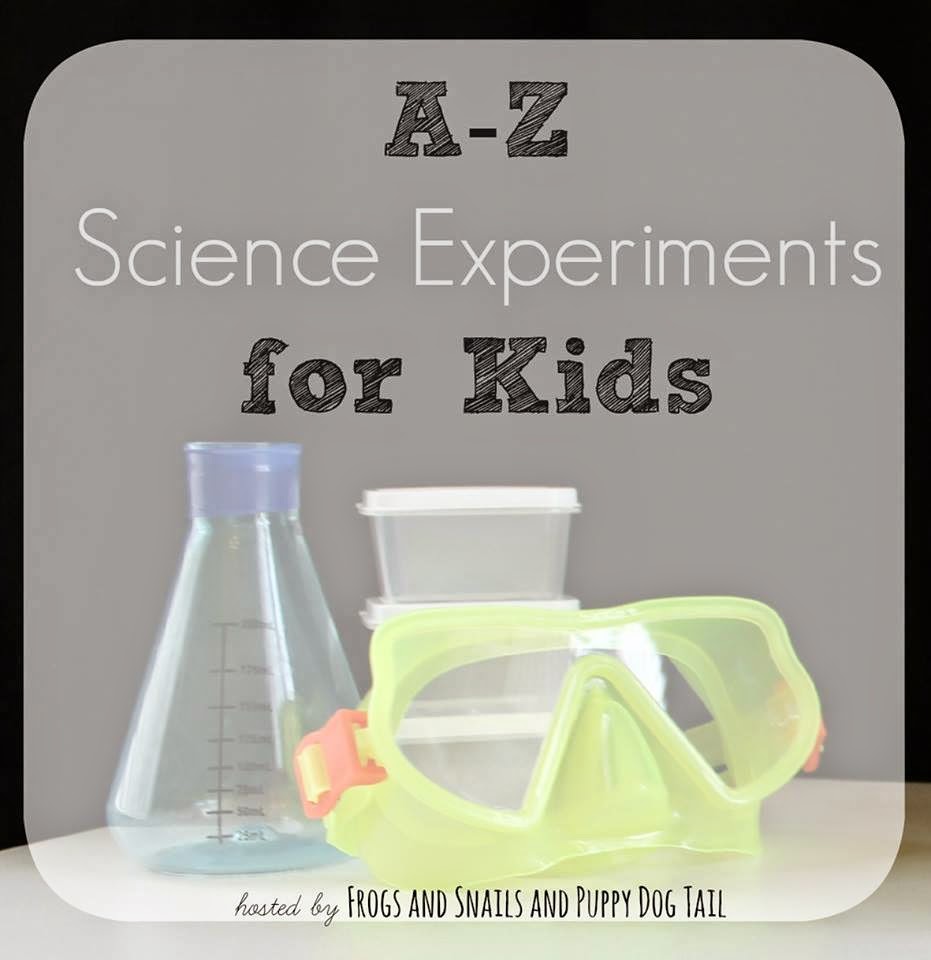 House of Burke: Displacement Experiment for Toddlers