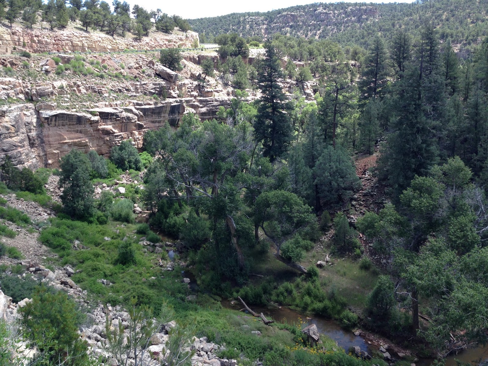 Southern New Mexico Explorer: Bluewater Canyon, Zuni Mountains- Cibola ...