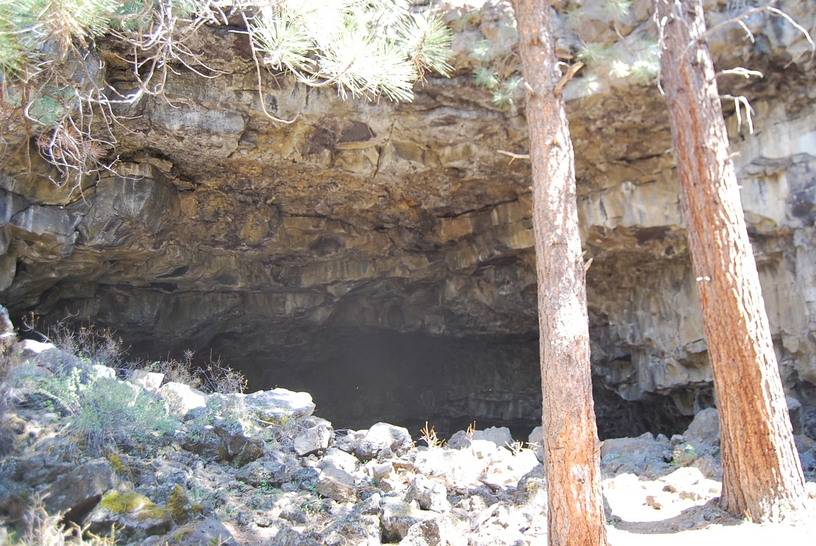 Wilamar Farm: Arnold Ice Cave & Hidden Forest Cave