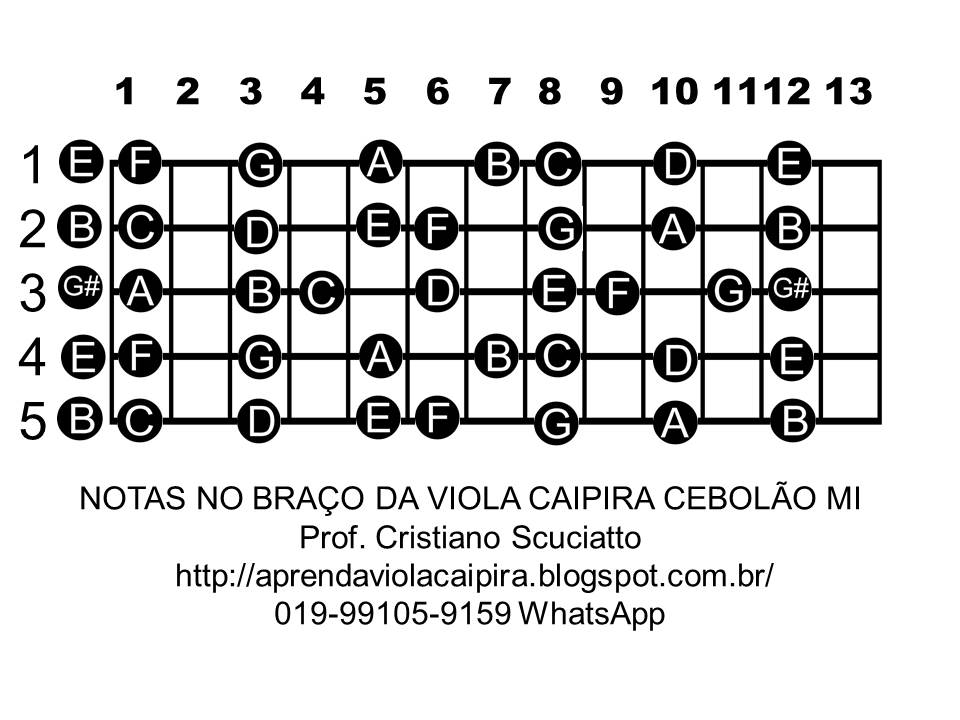 Aprenda Viola Caipira Prof. Cristiano Scuciatto : AS NOTAS NO BRAÇO DA ...