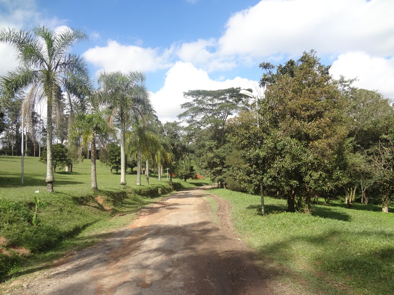 Parque do Carmo - Olavo Egydio Setúbal em São Paulo ~ Áreas Verdes das ...