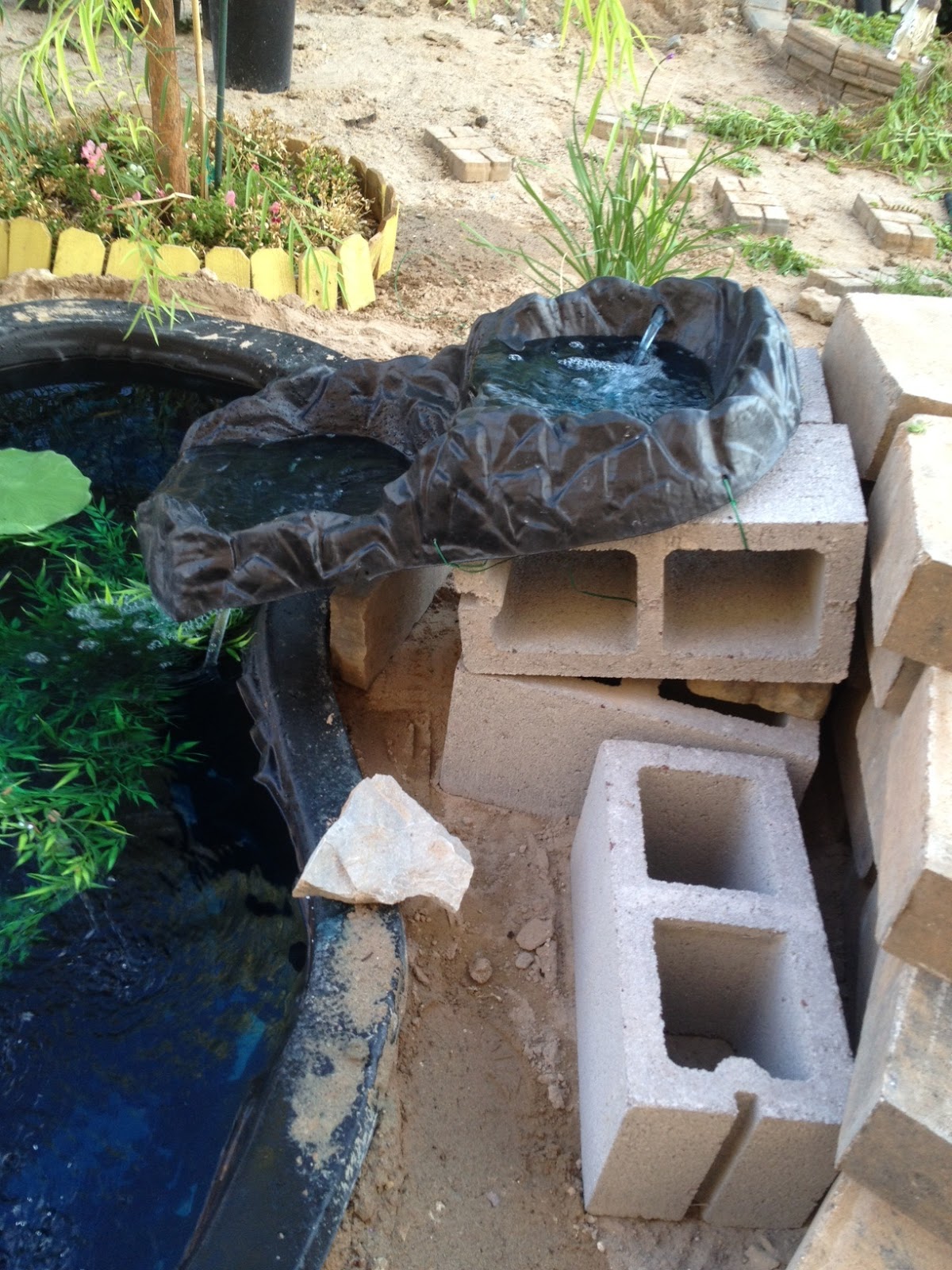 Weigle Wed and Southern Bred