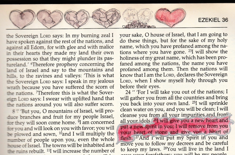 The Recycled Cottage & Garden: Sunday Bible Journaling ~ A Heart of ...