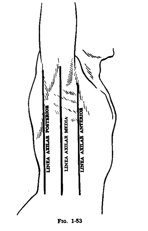 Fisioterapia Respiratoria: Valoración Semiológica del Sistema Respiratorio