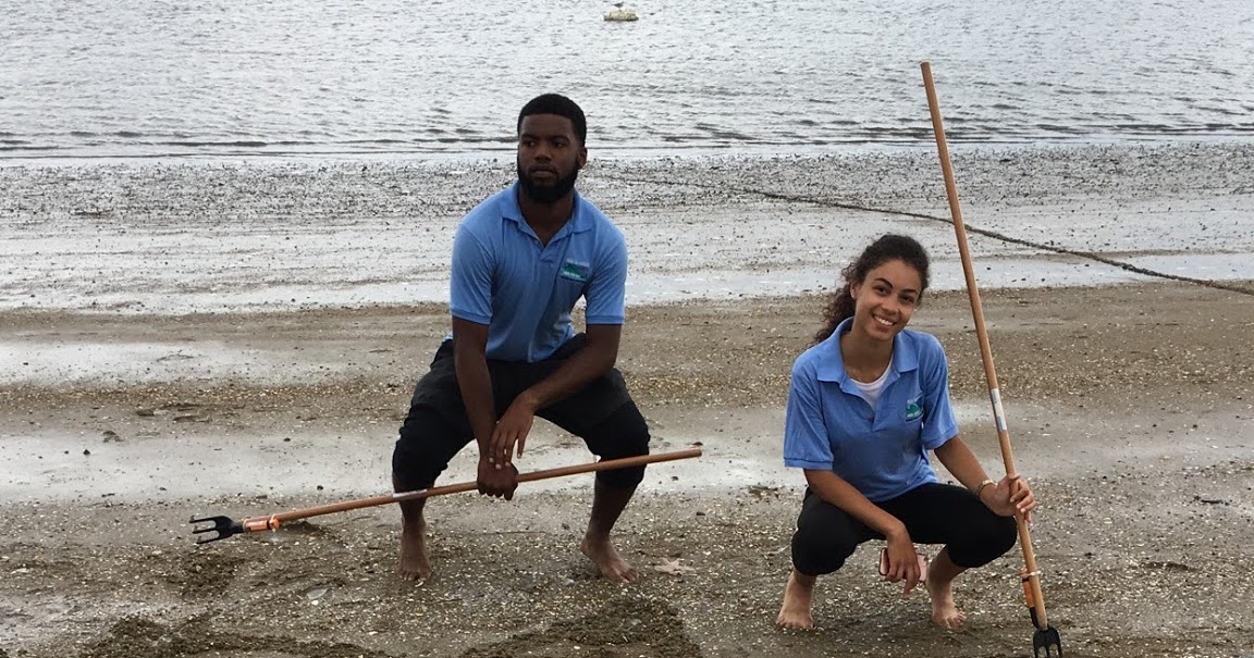 Sea, Sand and Sky: First Time EVER Sand Raking