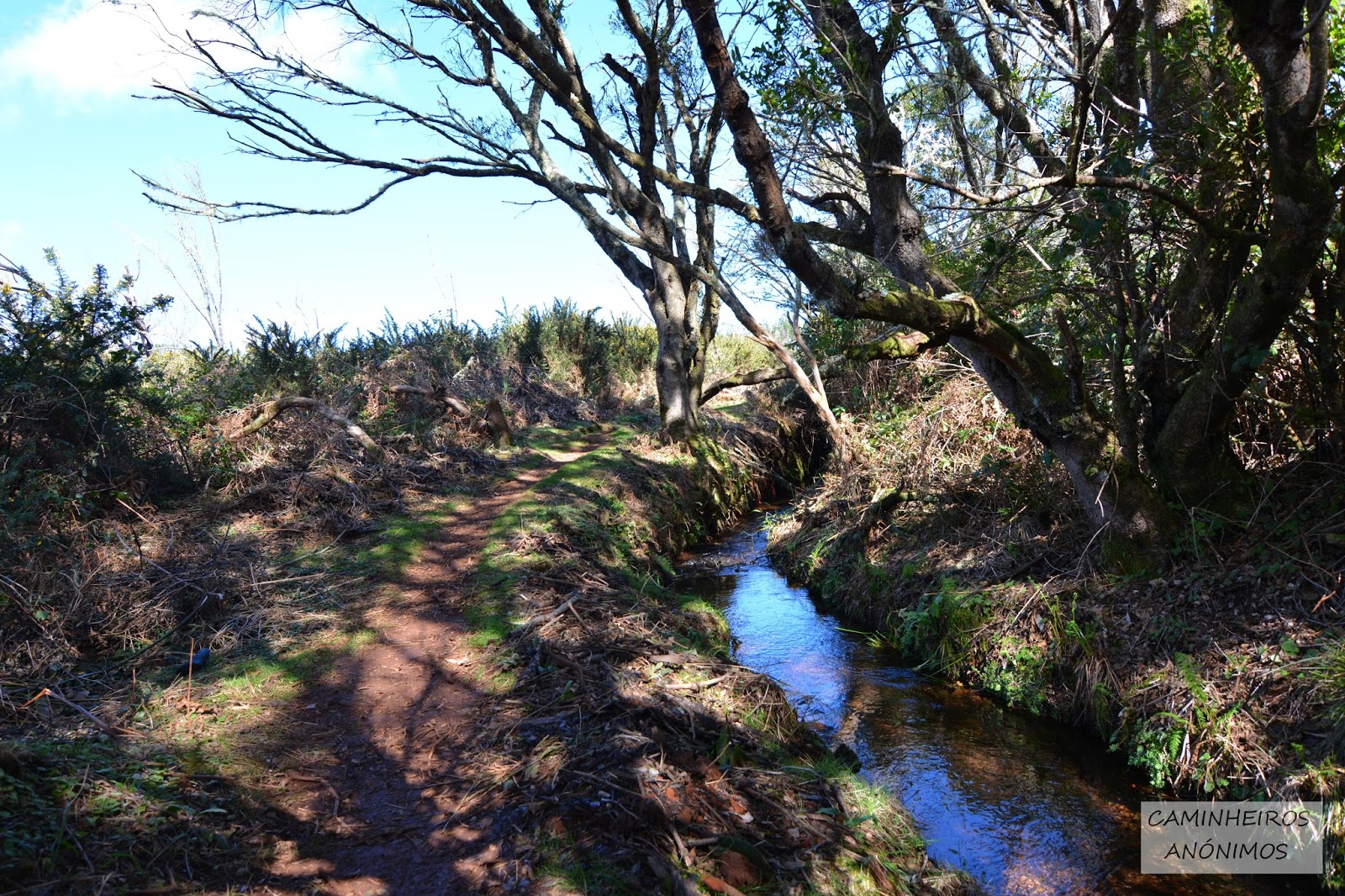 Caminheiros Anónimos Levadas da Madeira : Levada Grande (Achadas da Cruz)
