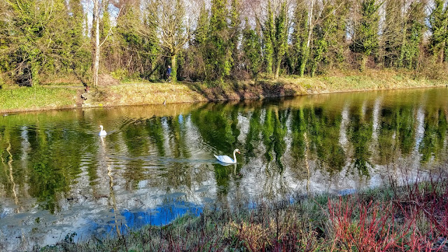 A Passion For Cards: Victoria Park, Sydenham, Belfast