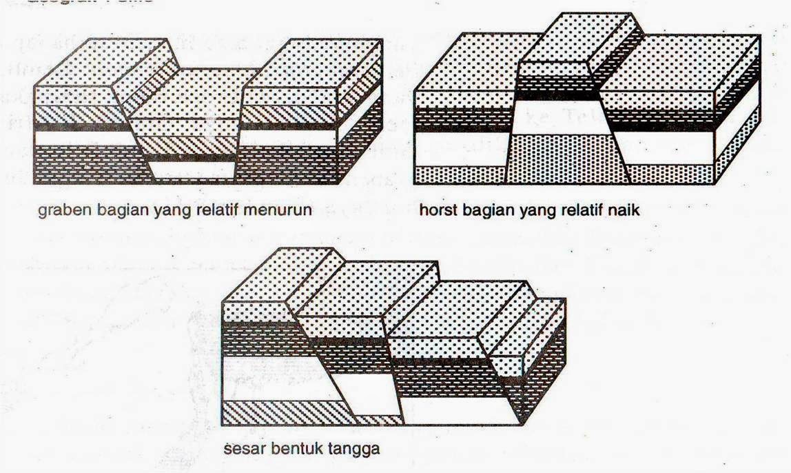 ELMO: TENAGA PEMBENTUK MUKA BUMI