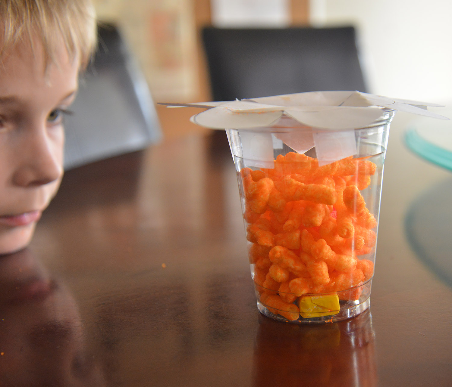 A school of fish: Bees and Pollination Activity