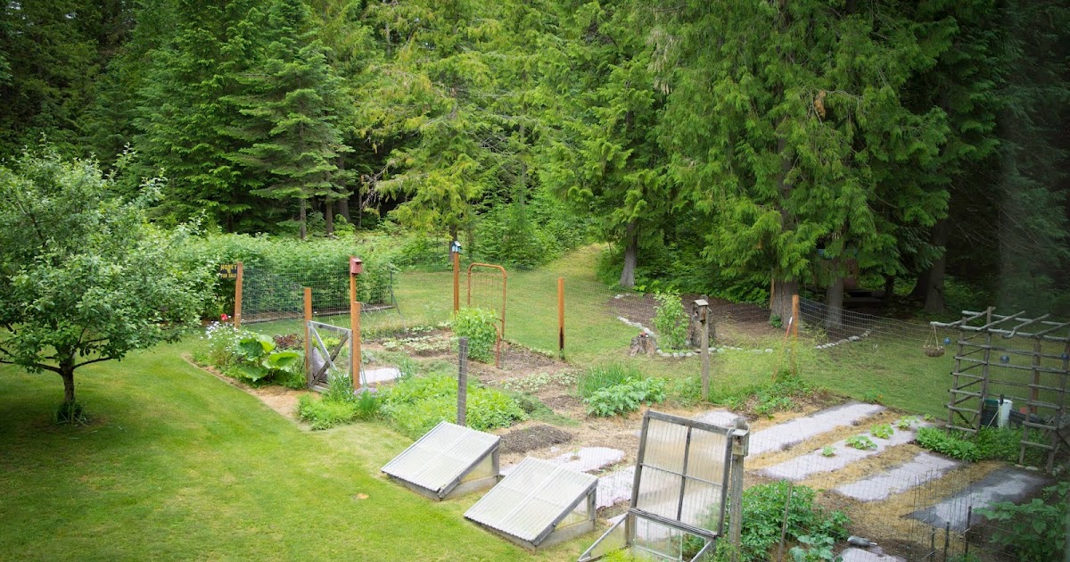 Jen & the Bean stalk: June View