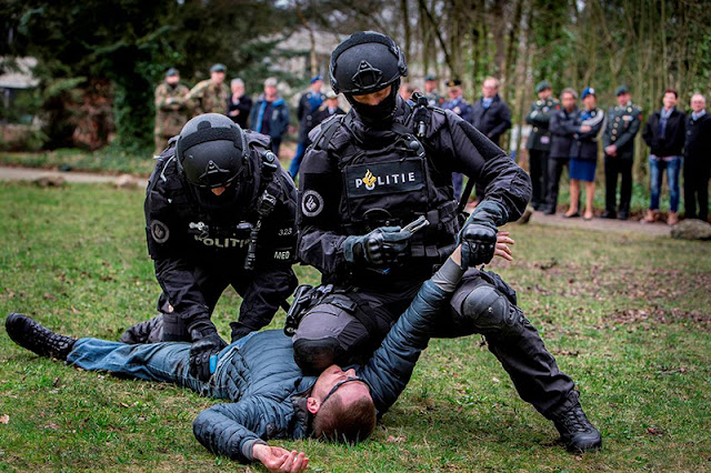 Gsg9 1/87 Unité spéciale: dsi dienst speciale interventies