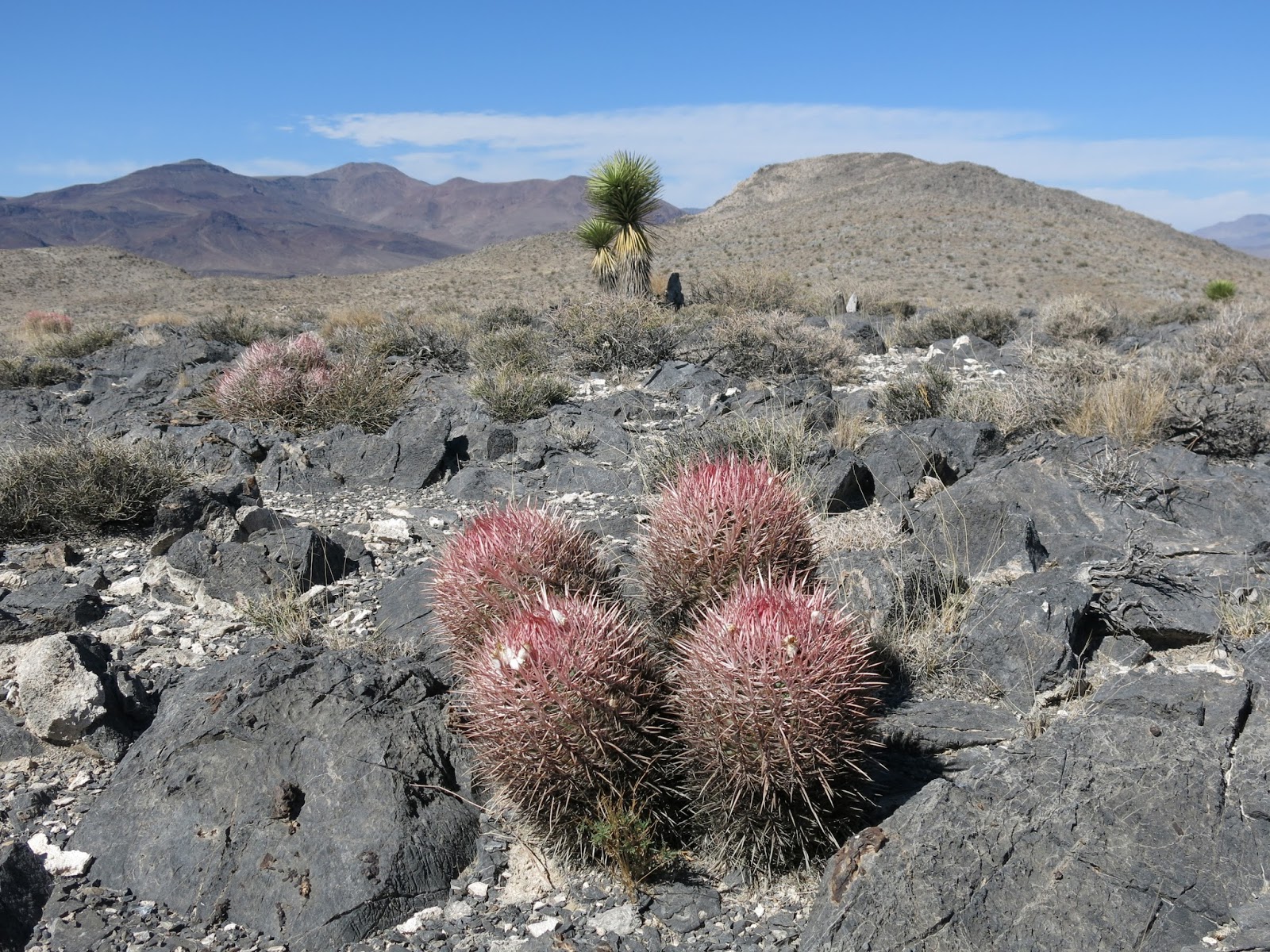 Explore A Bit More: Lee Flat, Darwin Plateau Exploration, October 12th ...