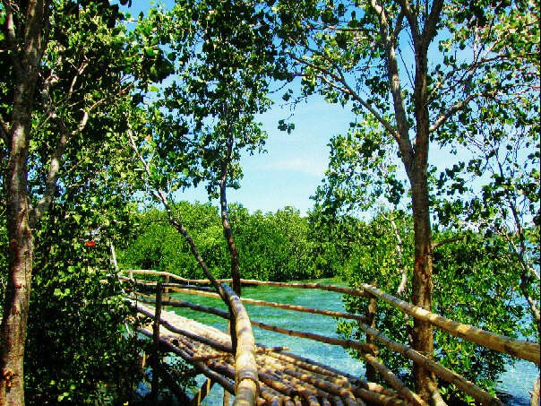 She is sassy: The Simara Island New Attraction: Footbridge