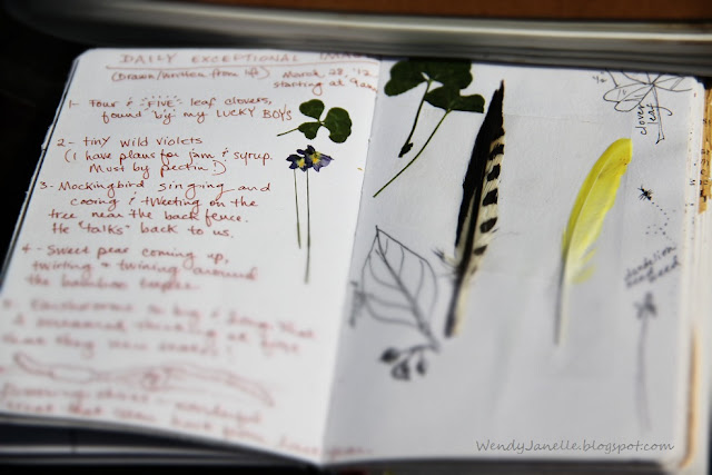 Living Creatively: 10 Ways to Vary Your Nature Journal Layouts