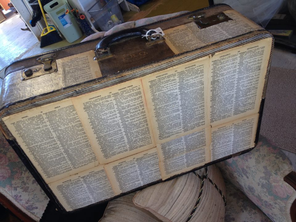 Fiona and Twig: Sister's Treasues, Saturday's Treasures