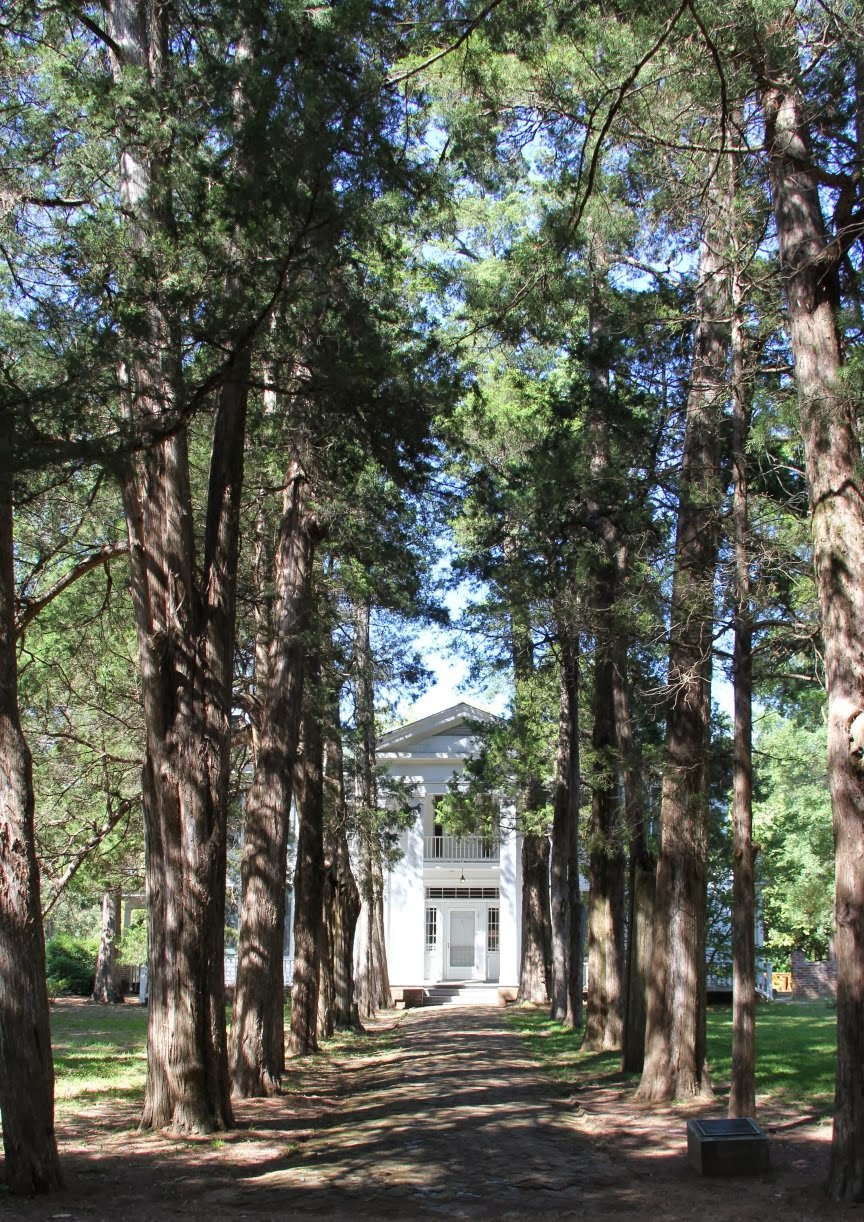 Rowan Oak – Stephen Bodio