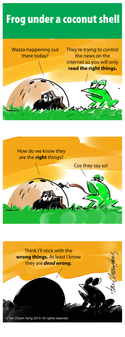 Frog Under A Coconut Shell