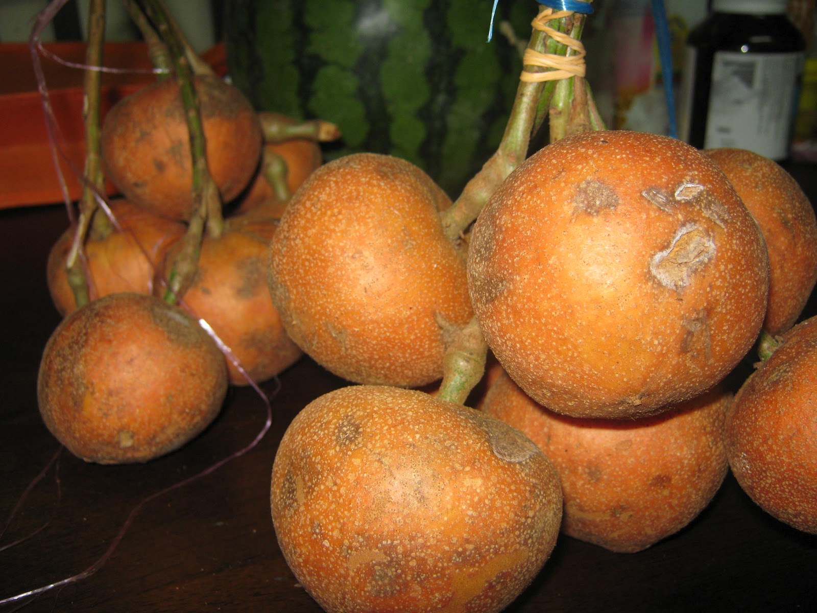 Chitty Boy and Me: Tampoi Fruit