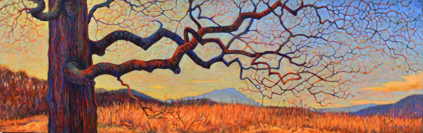 Christopher Stephens