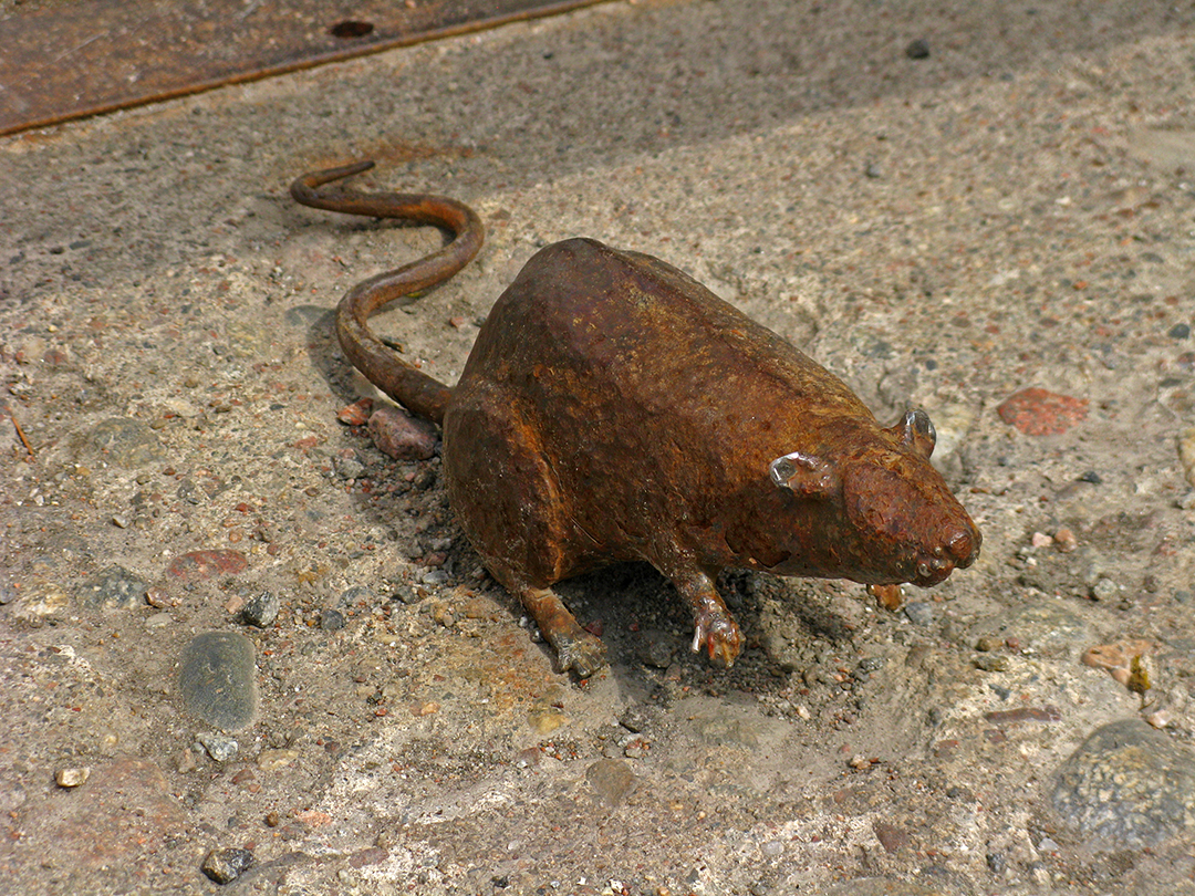 Walking Stockholm: Little Life Stories Continued 2