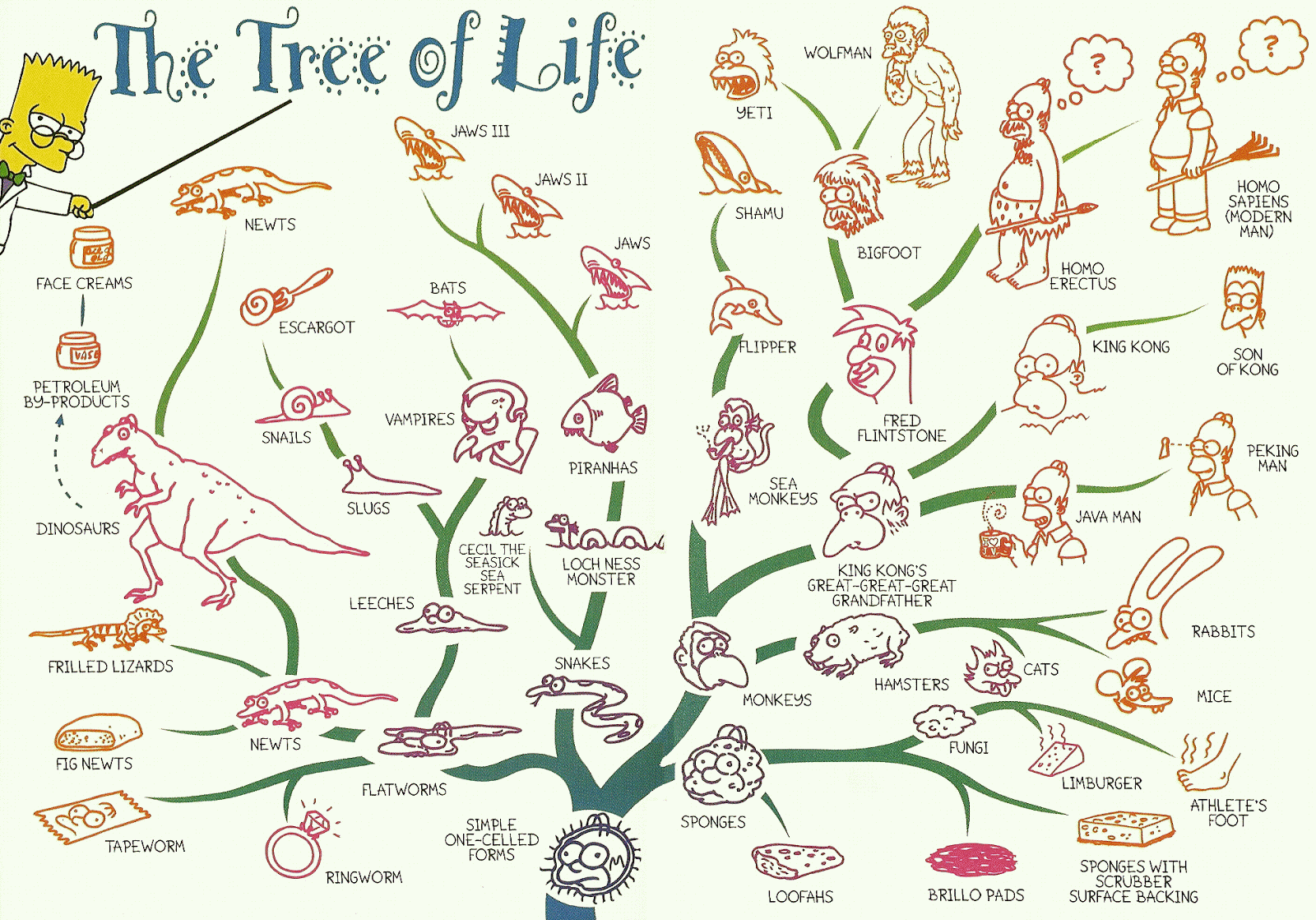 The Genealogical World of Phylogenetic Networks: Faux phylogenies