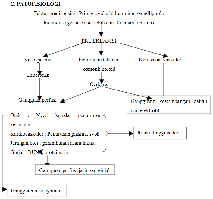 PreEclampsia Pathogenesis Calgary Guide