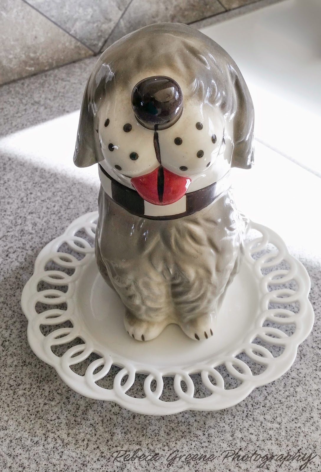 Who's Z? Creations///Rebeca Greene Photography