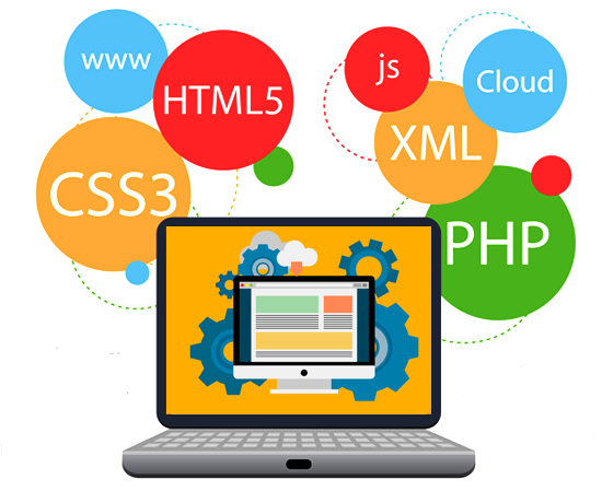 What Things to Know about Professional Web Development Company ...