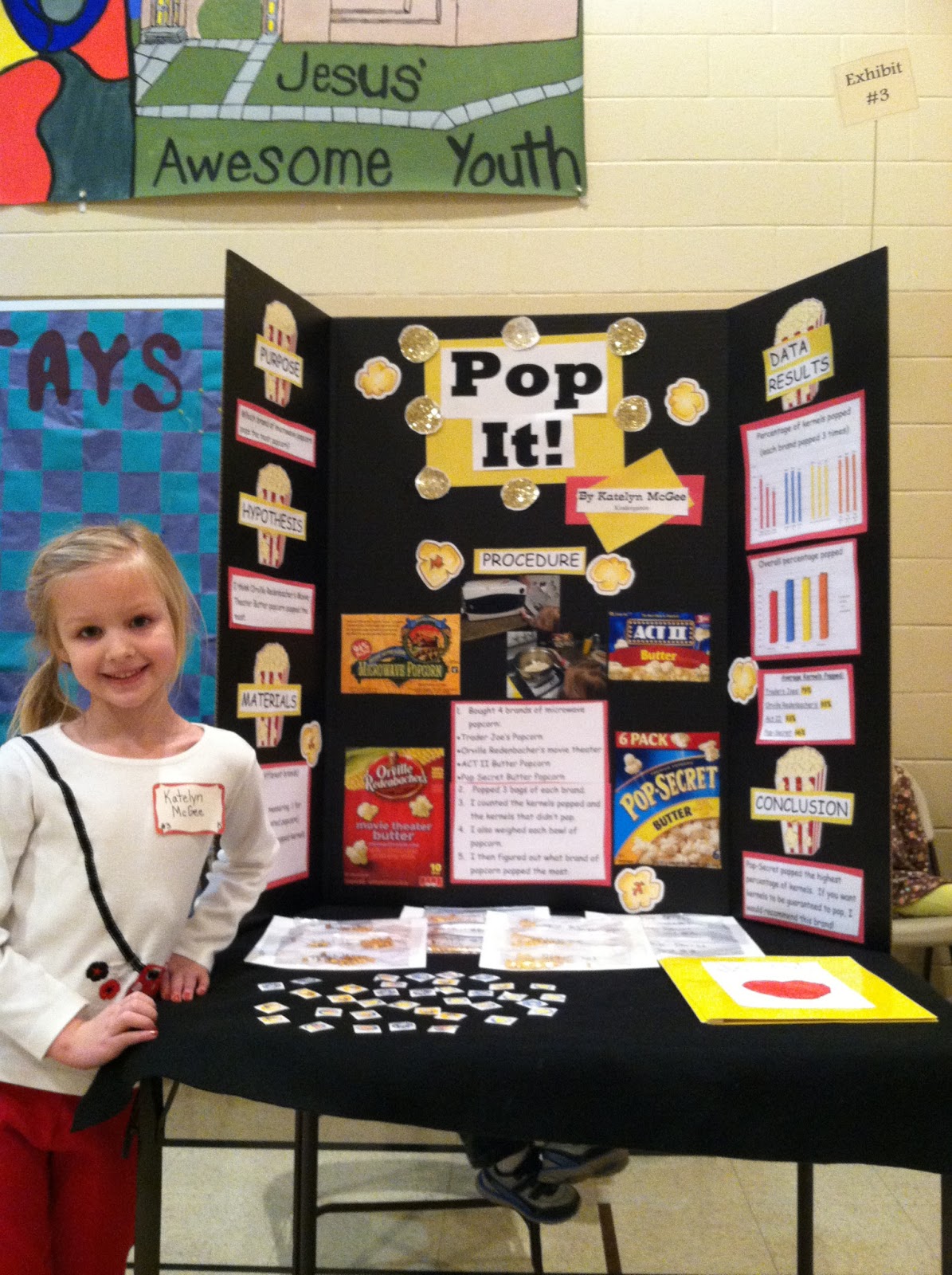 Gigglesandgumballs: Science Fair 2013! Gigglesandgumballs: Science Fair 2013!