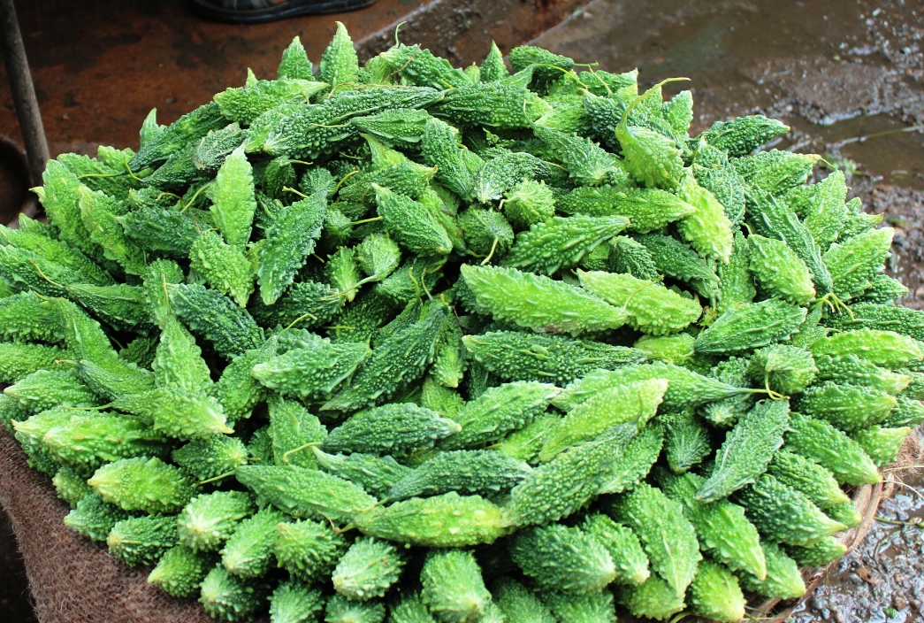 Delhi Magic: Love it or hate it? The karela and its avatars!
