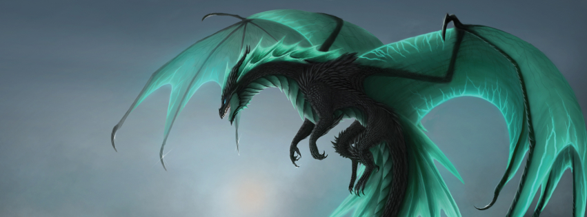 Dragon Facebook Covers - Học tiếng nhật, java và mọi thứ