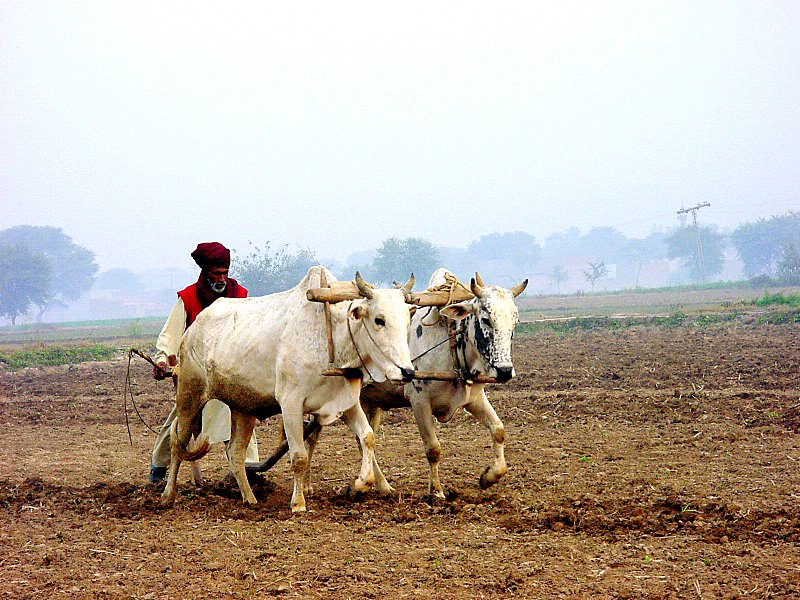 | Village Life | Beauty of Village Life | Childhood and Village Life ...