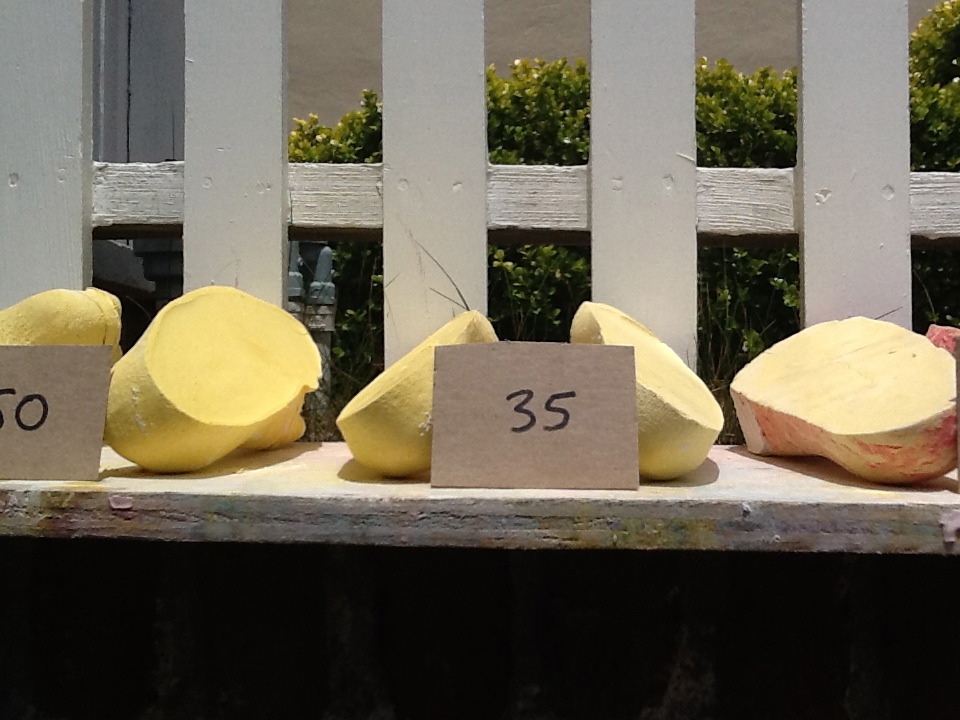 Foot and Ankle Problems By Dr. Richard Blake: Inverted Orthotic ...