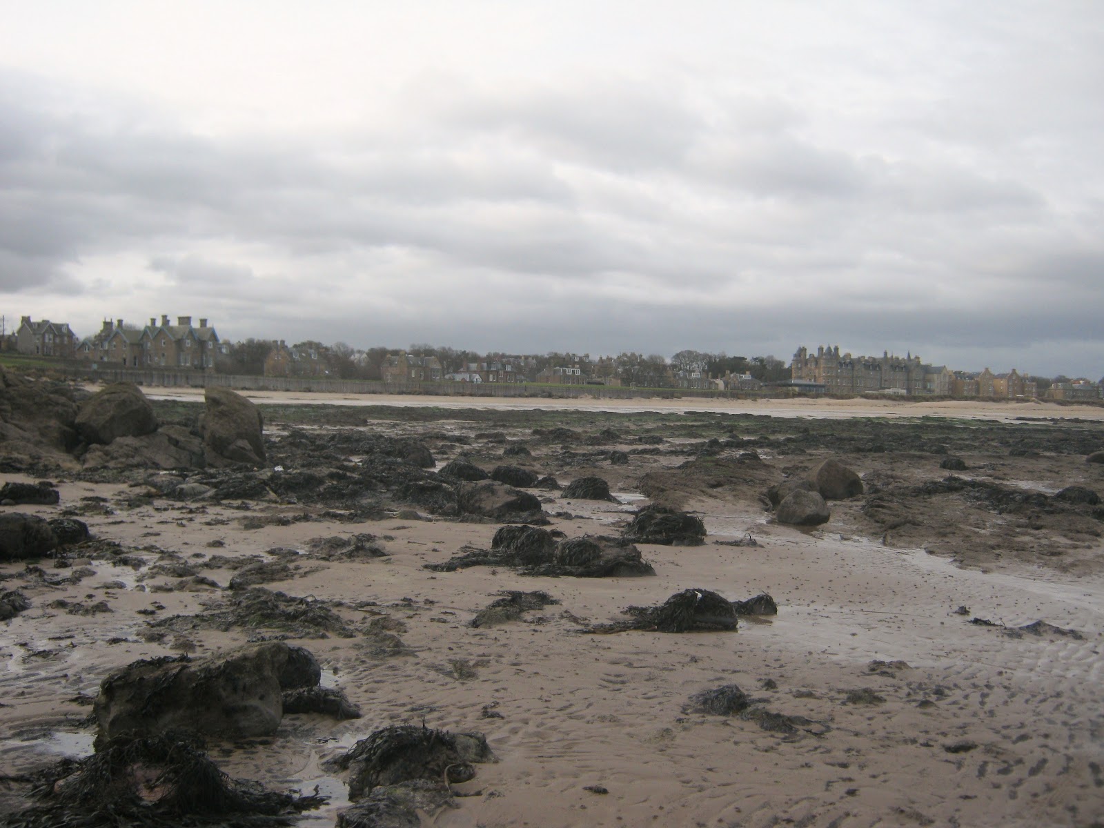 coastrider: Spring Tides Beach Rides...