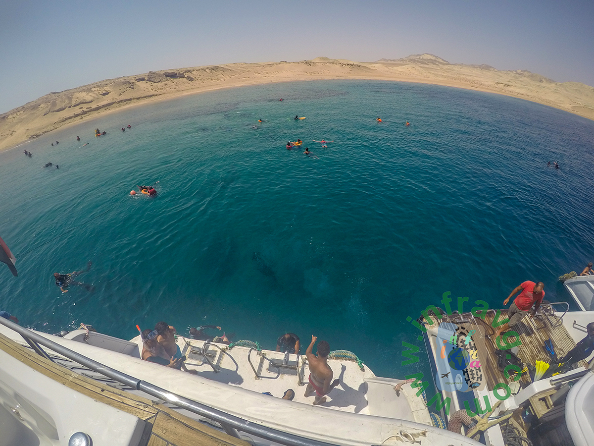 Egipto 2017: El Mar Rojo. - INFRAVG